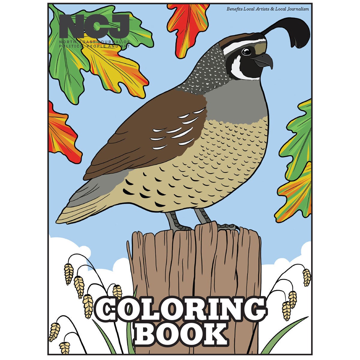 NCJ Coloring Book 2023 | NCJ Shop